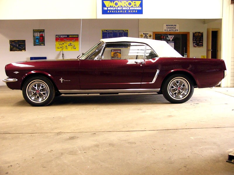 64-66 Mustangs