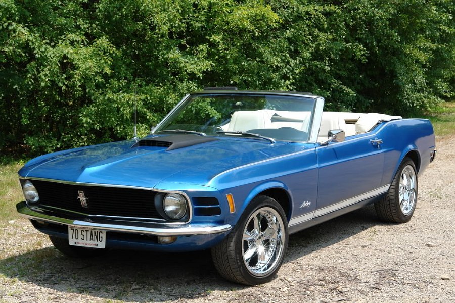 69-70 Mustangs